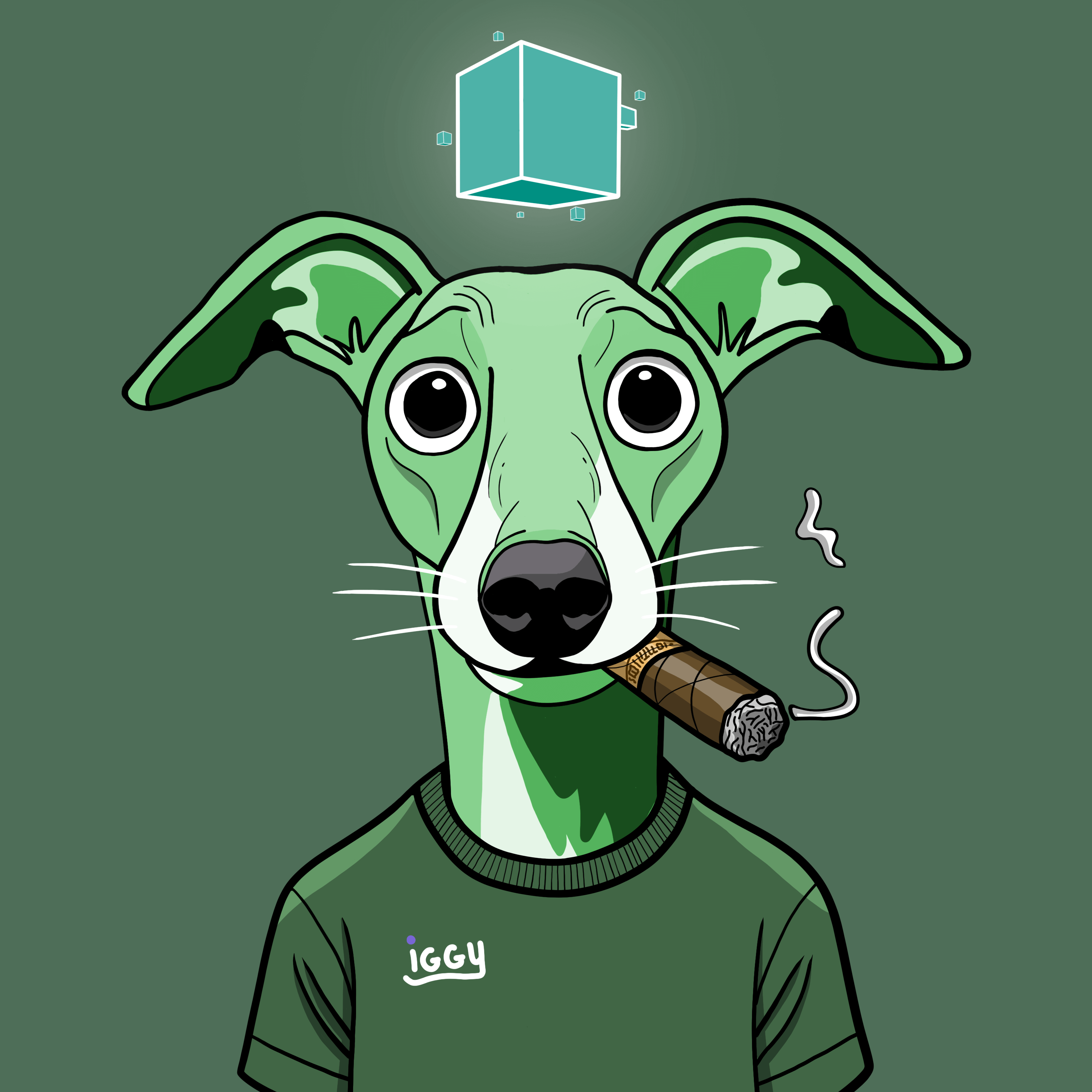 Enjin Iggy - NFT Collection